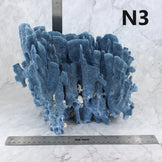 Blue Coral 10-12" – Salt Flat Trading Co.