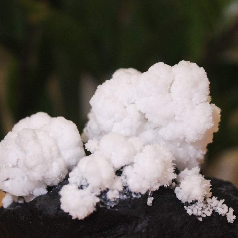 Popcorn Rock – Salt Flat Trading Co.