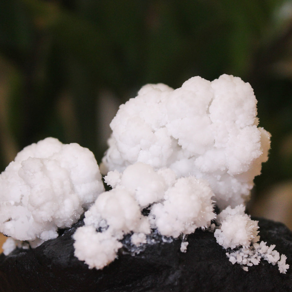 Popcorn Rock – Salt Flat Trading Co.