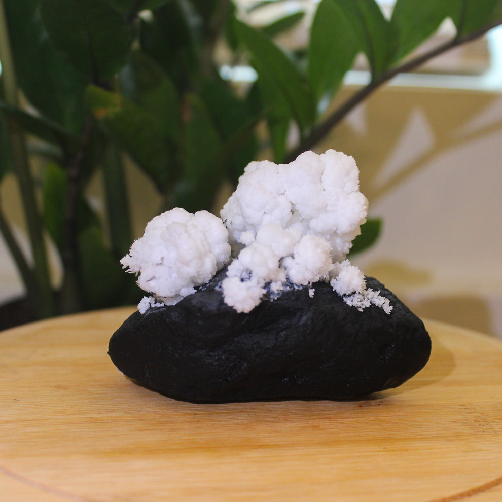 Popcorn Rock – Salt Flat Trading Co.