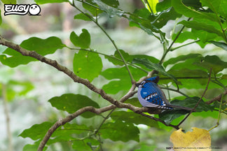 EUGY Sky – Salt Flat Trading Co.