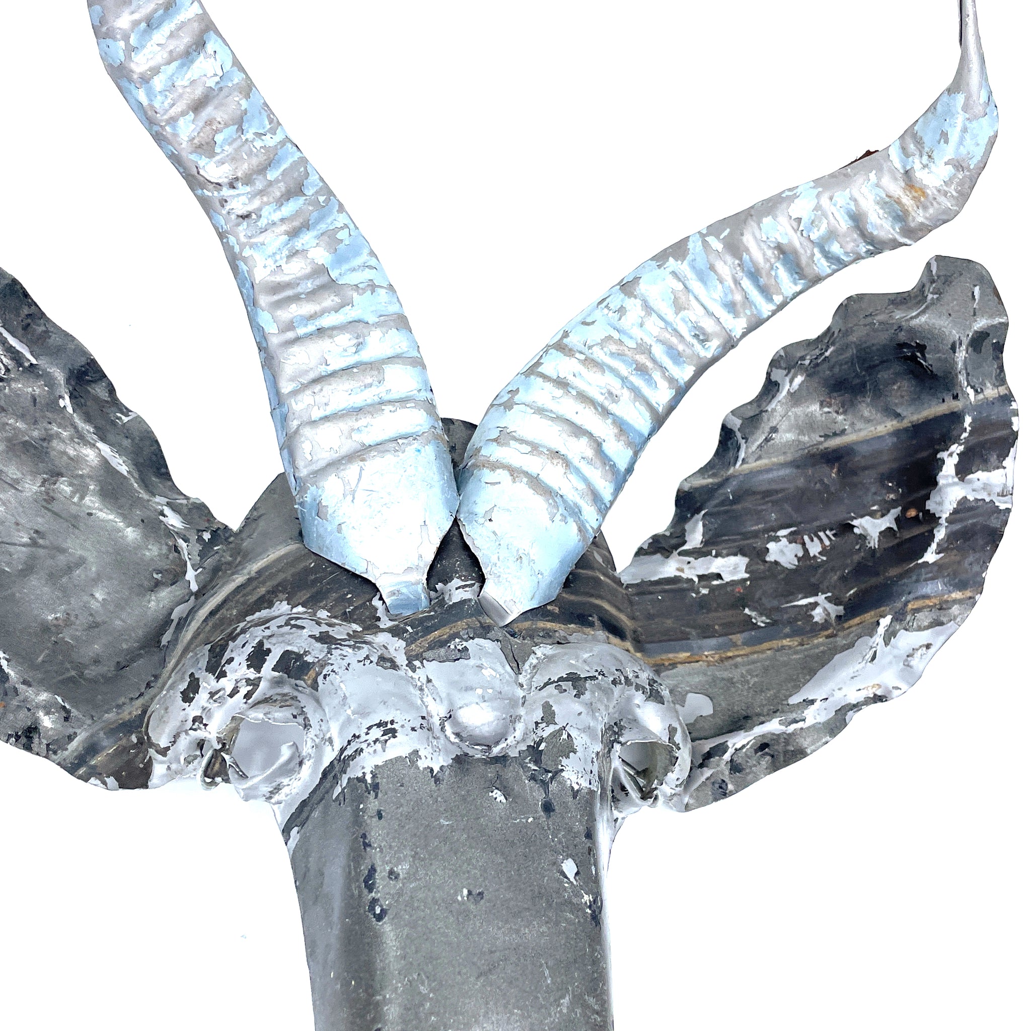 Springbok Animal Mask Wall Art – Salt Flat Trading Co.