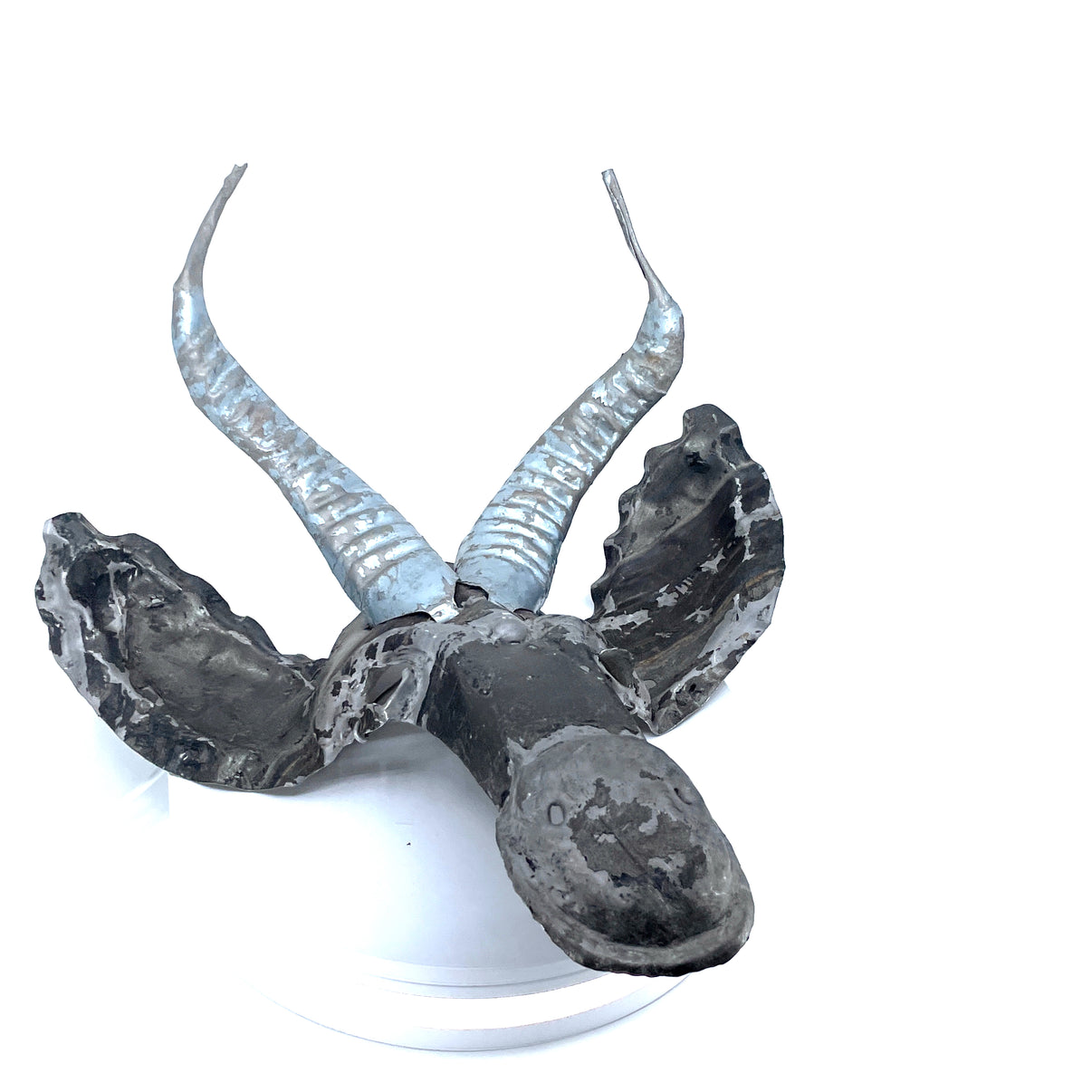 Springbok Animal Mask Wall Art – Salt Flat Trading Co.