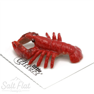 Little Critterz™ - Sealife – Salt Flat Trading Co.