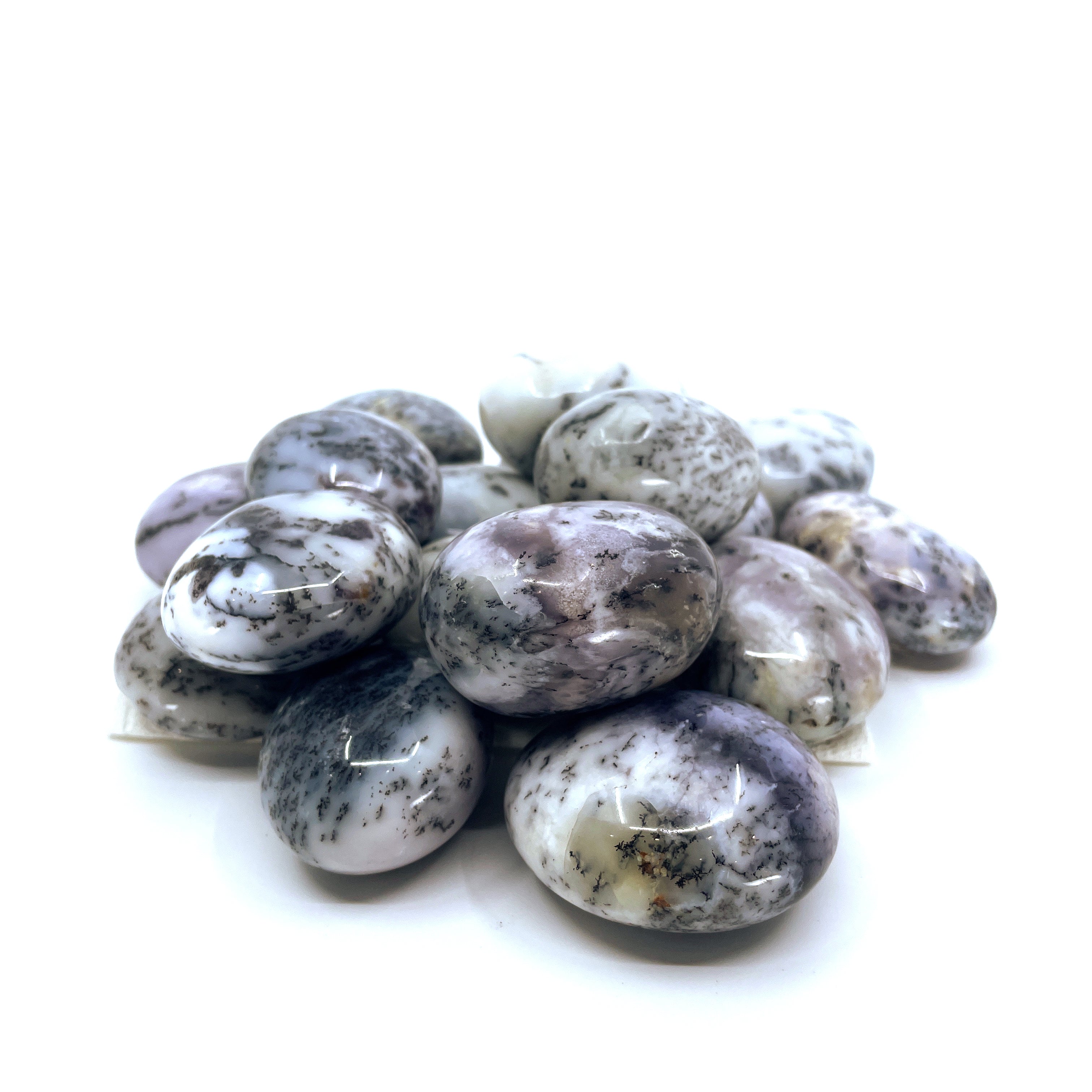 White Dendritic Agate Palm Stone – Salt Flat Trading Co.